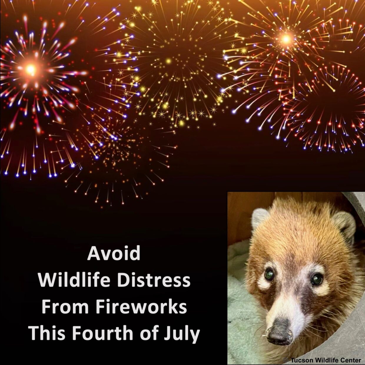 PSA: 06-30-23 - Tucson Wildlife Center